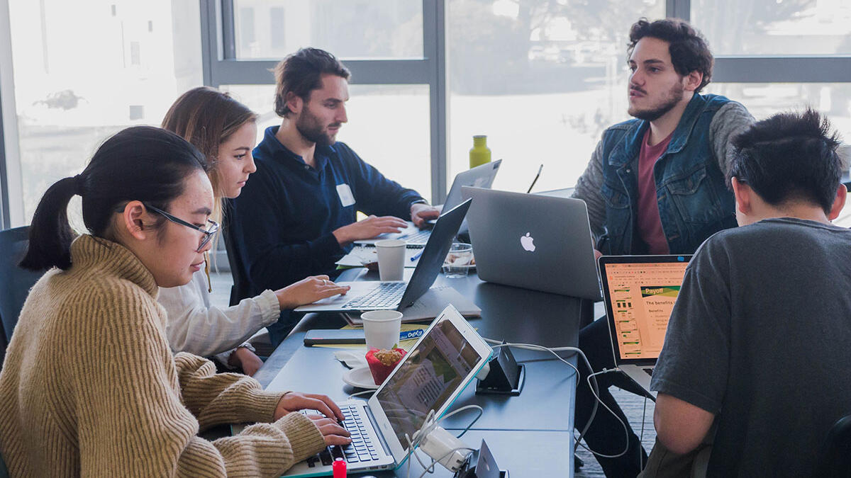 Design, BA | University of San Francisco