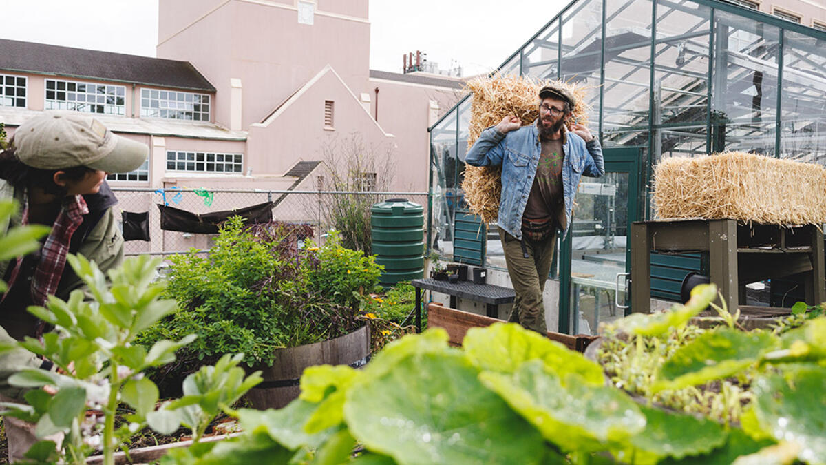 Community Garden - Urban Agriculture, Minor | University of San Francisco