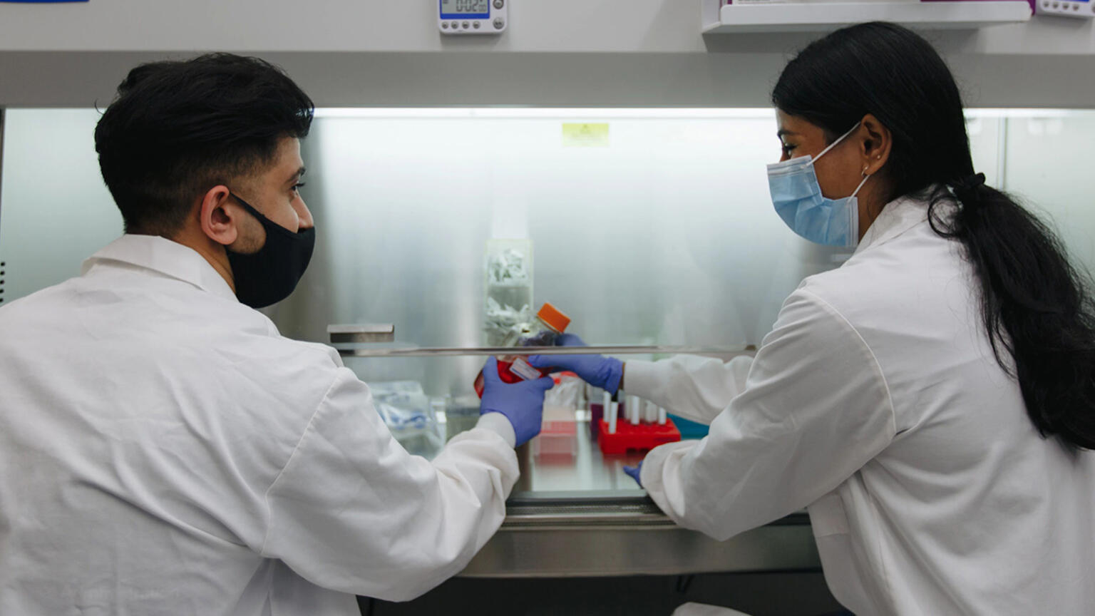 Biology, BS | University of San Francisco