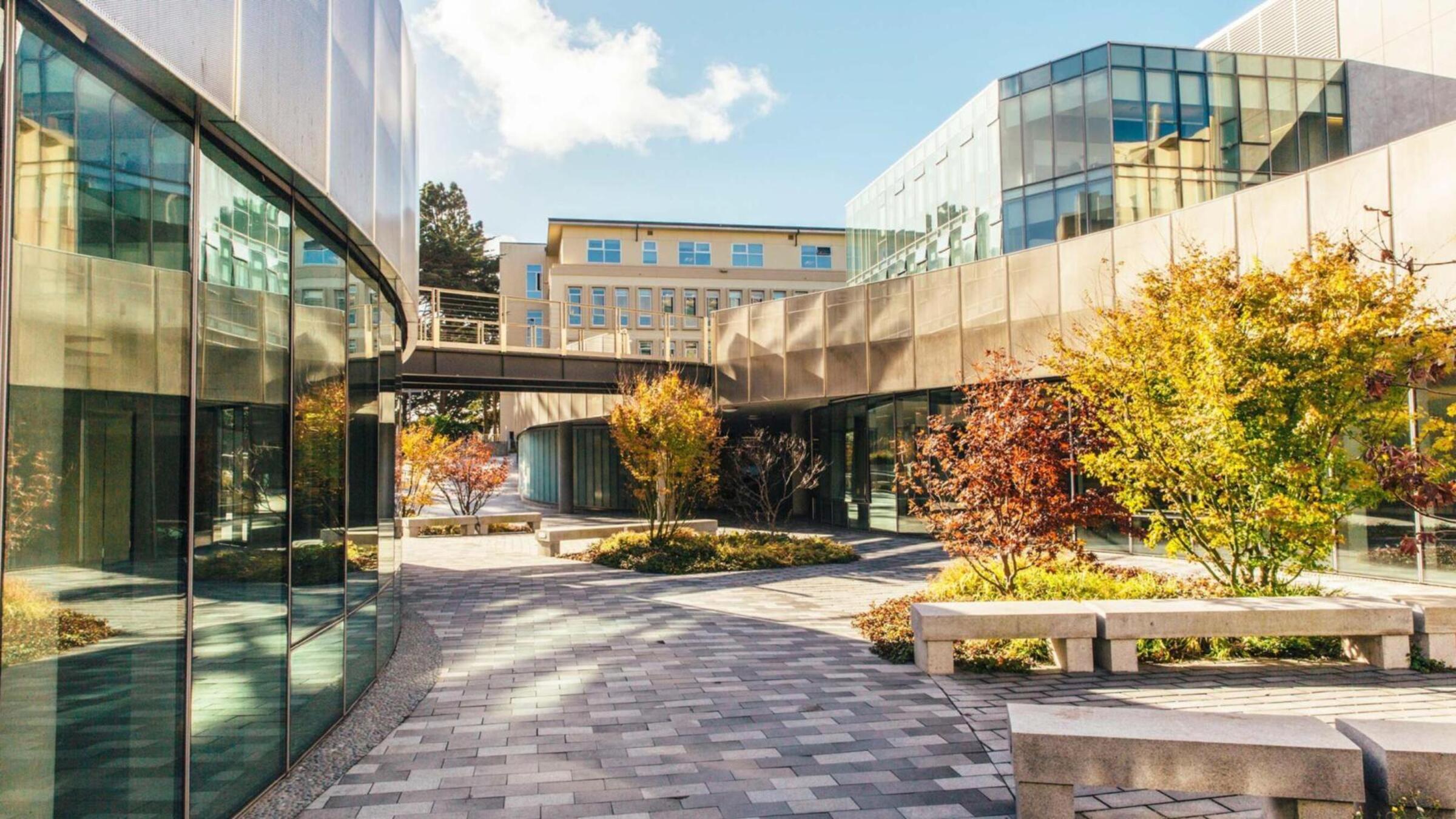 Graduate Admission - College of Arts and Sciences | University of San ...