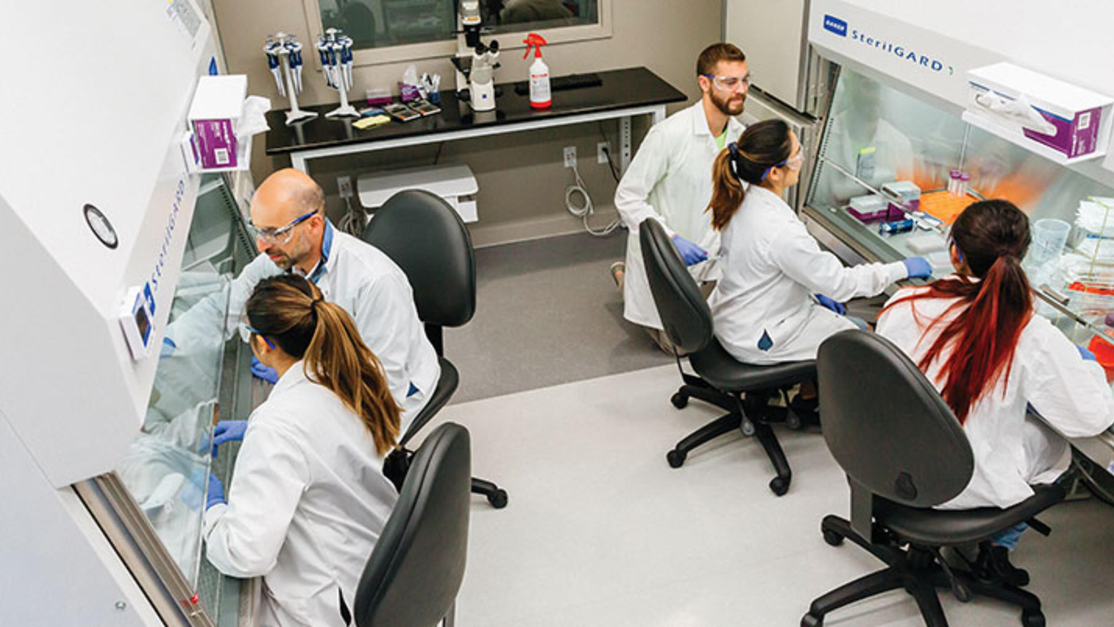 Biotechnology and Bioentrepreneurship, BS | University of San Francisco