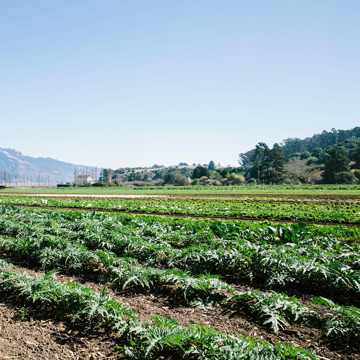 Research - Environmental Management, MS | University of San Francisco