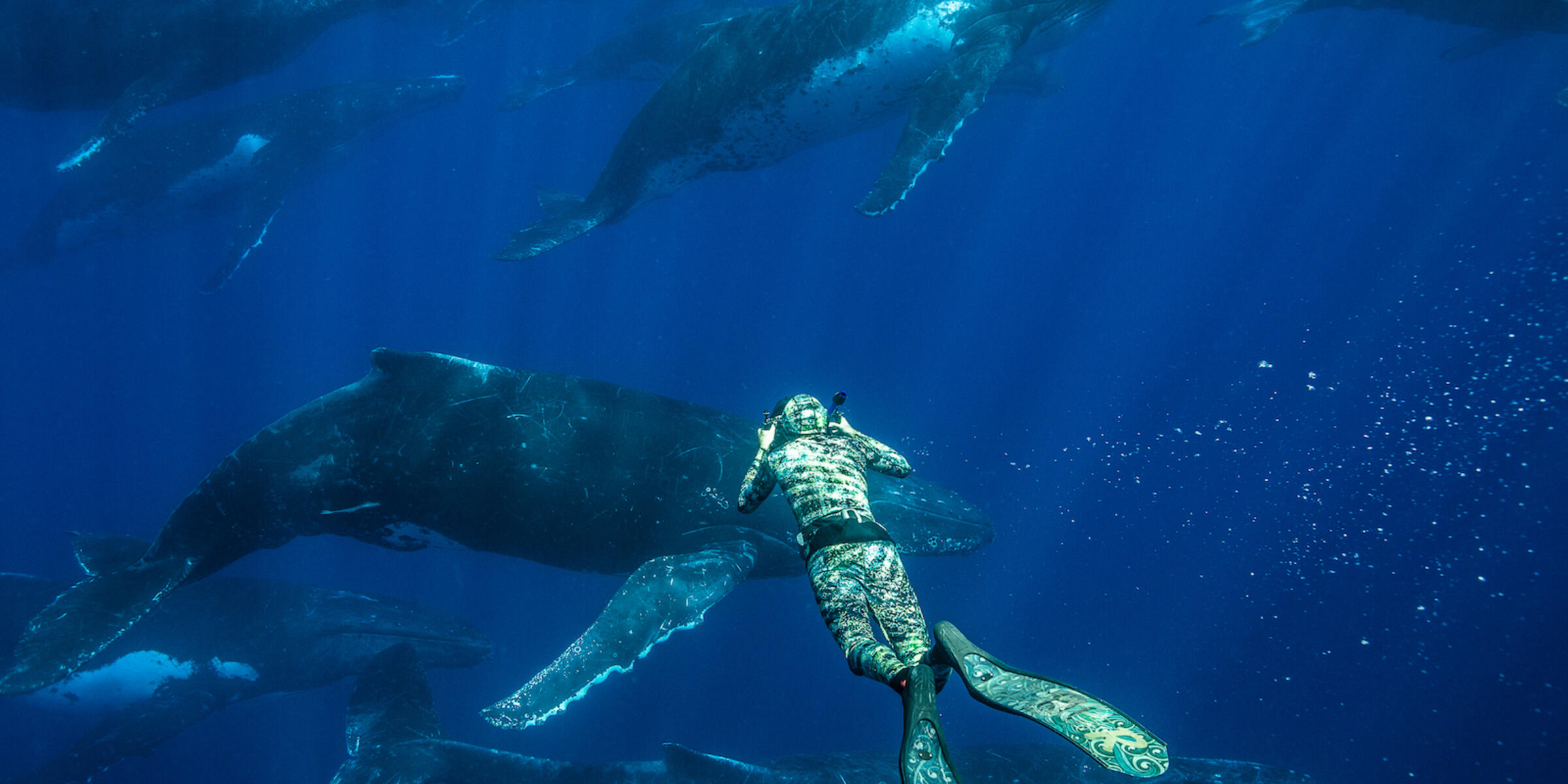 USF Grad Chosen for SpaceX Trip Around the Moon | University of San ...