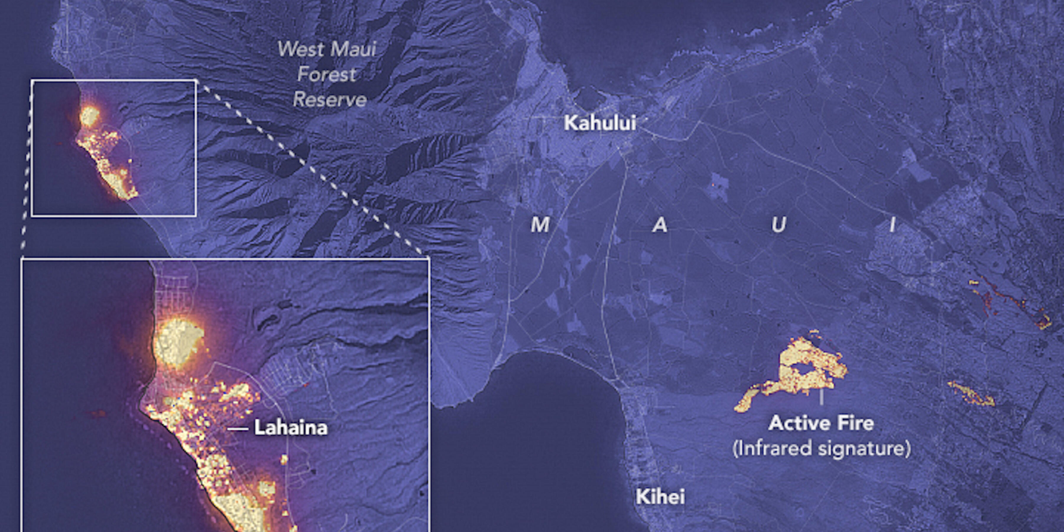 USF Professor Leads Effort to Help in Maui | University of San Francisco USF Professor Leads Effort to Help in Maui | University of San Francisco