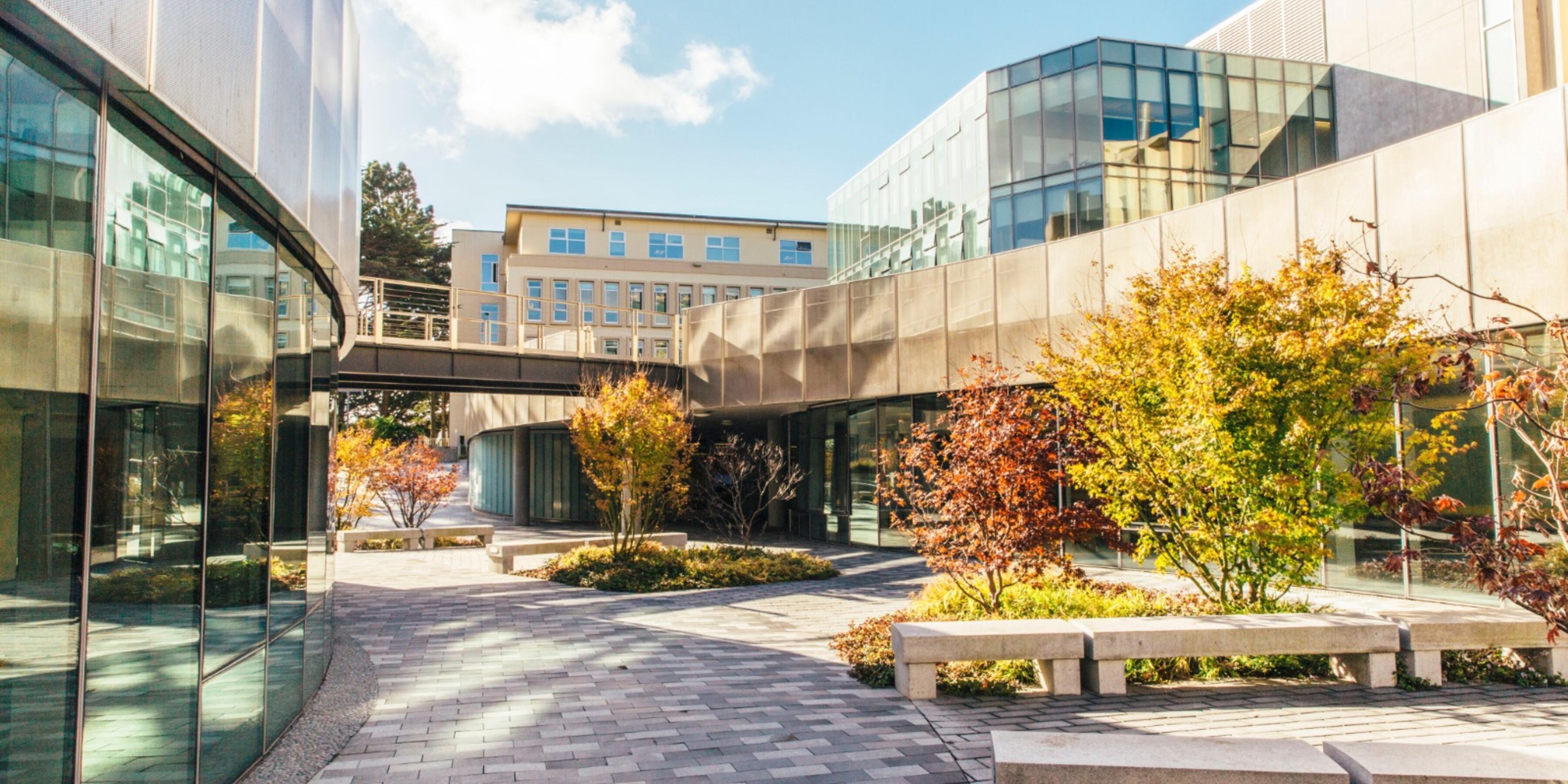 Transforming Tradition | University of San Francisco