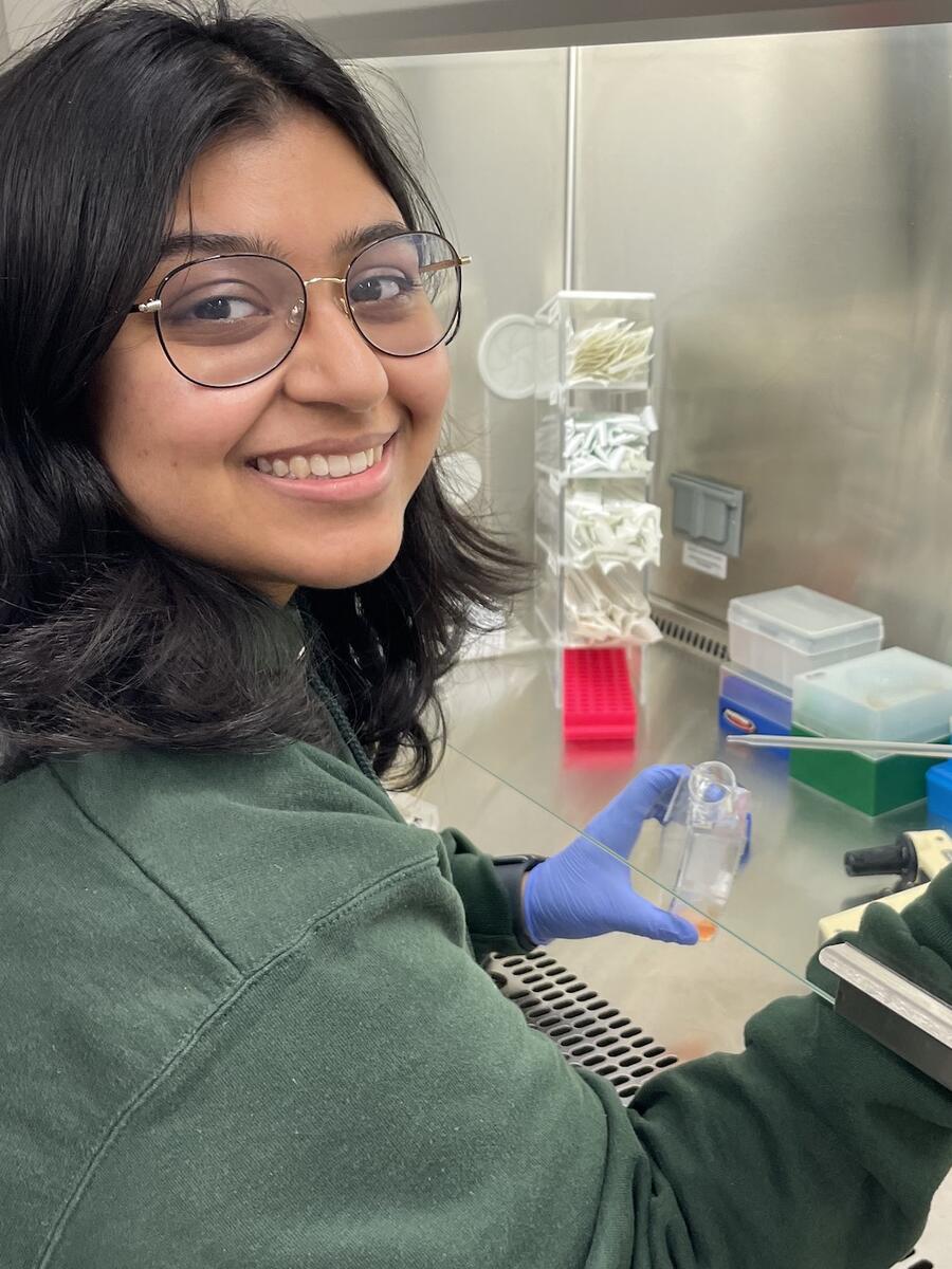 Faculty & Research | University of San Francisco